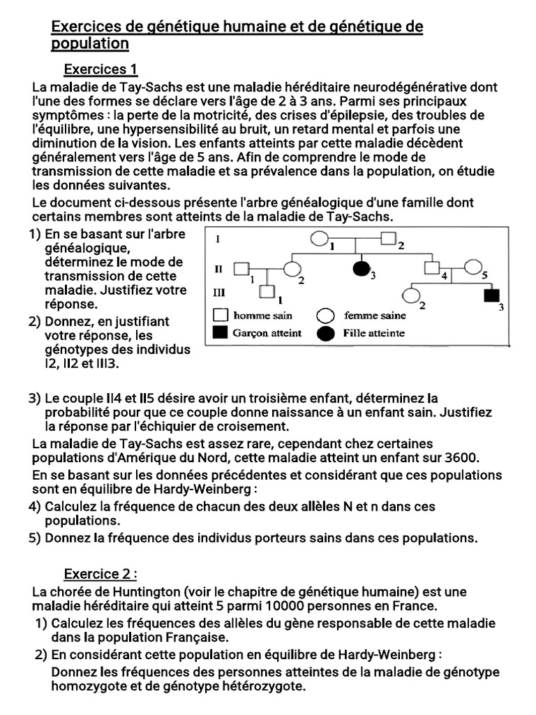 Exercices de génétique humaine et hérédité | PDF | Génotype | Hérédité