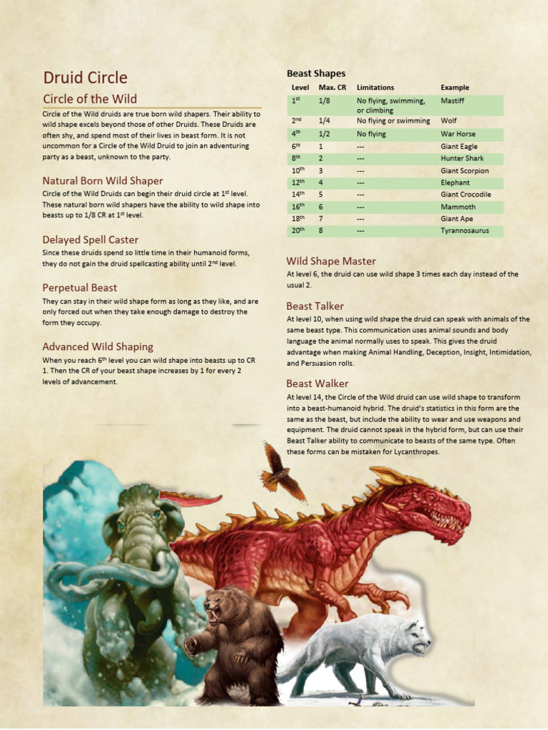 Druid Circle: Wild Shape Masters | PDF