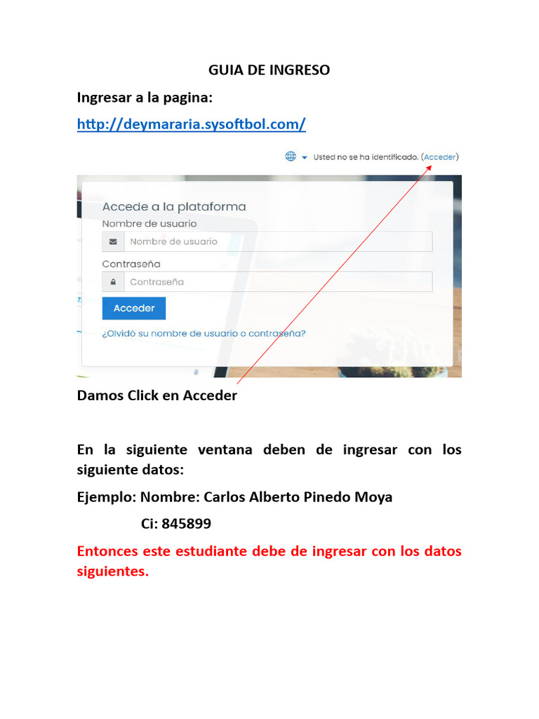 Guia de Ingreso A La Plataforma | PDF