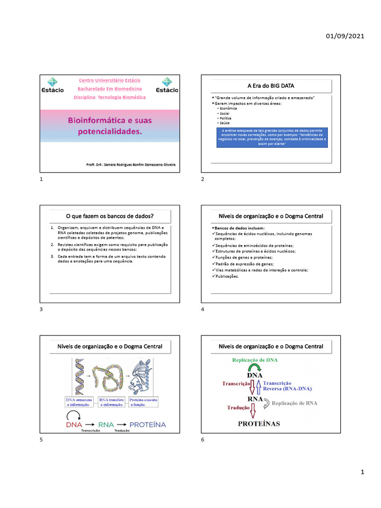 Aula 2 - Bioinform Tica e Suas Potencialidades | PDF | RNA | DNA