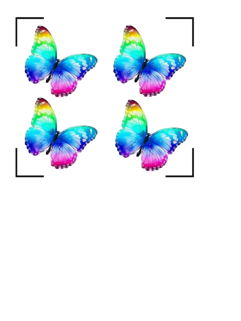 Mariposa 2 | PDF