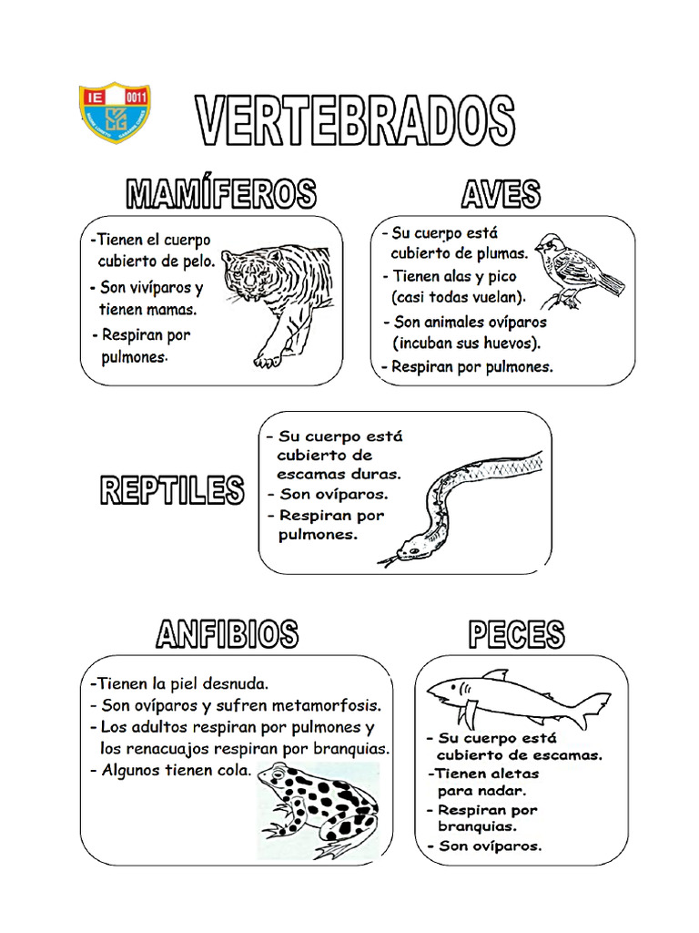 FICHA ANIMALES VERTEBRADOS E INVERTEBRADOS | PDF