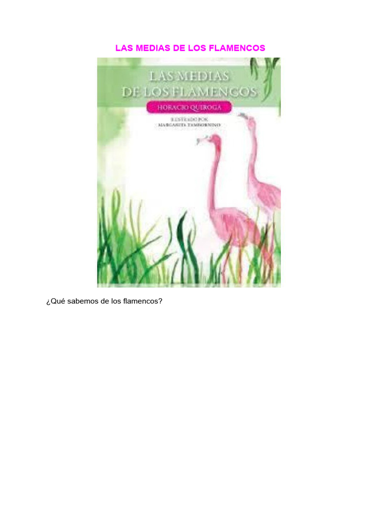 Las Medias de Los Flamencos | PDF