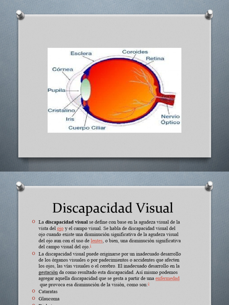 Discapacidad Visual (1) | PDF | Discapacidad visual | Percepción visual