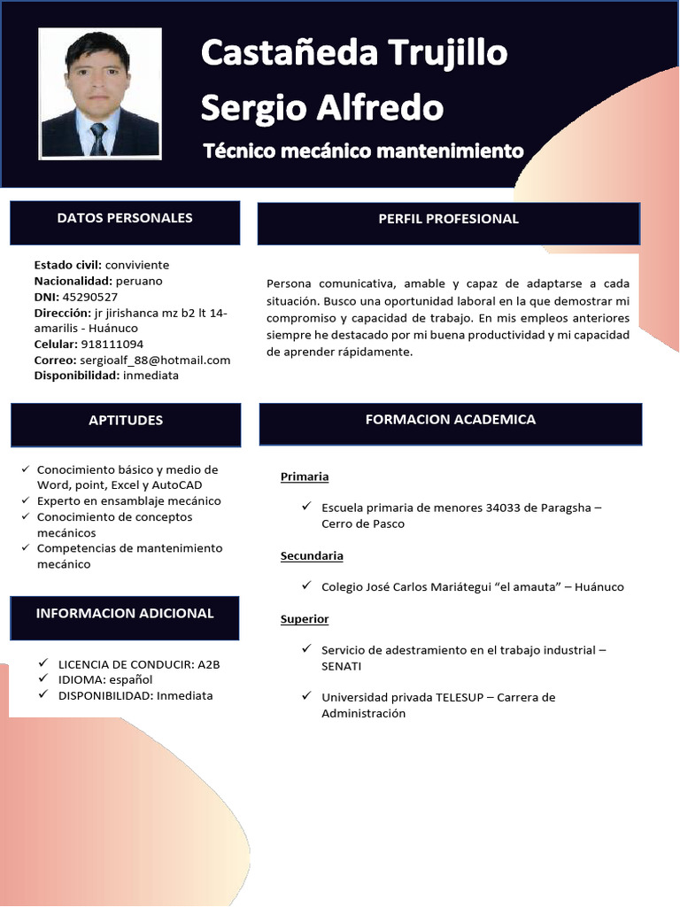 CV CASTAÑEDA TRUJILLO | PDF | Bienes manufacturados | Sector secundario de la economía