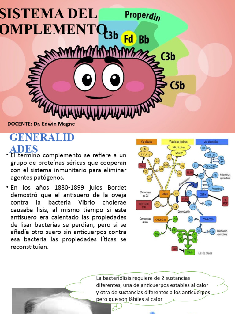 Sistema Del Complemento | PDF | Sistema complementario | Biología