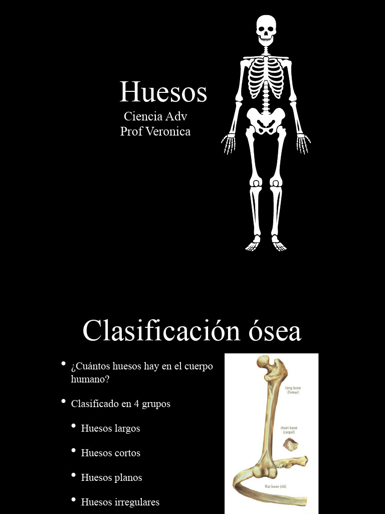 Guía Completa sobre Tipos de Huesos | PDF | Hueso | Sistema esquelético