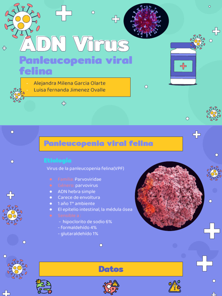 ADN Virus | PDF | Diarrea | Virus