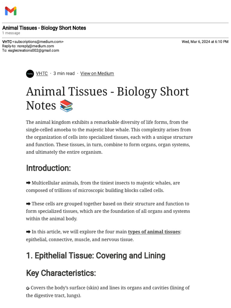 Gmail - Animal Tissues - Biology Short Notes ? | PDF | Muscle | Epithelium