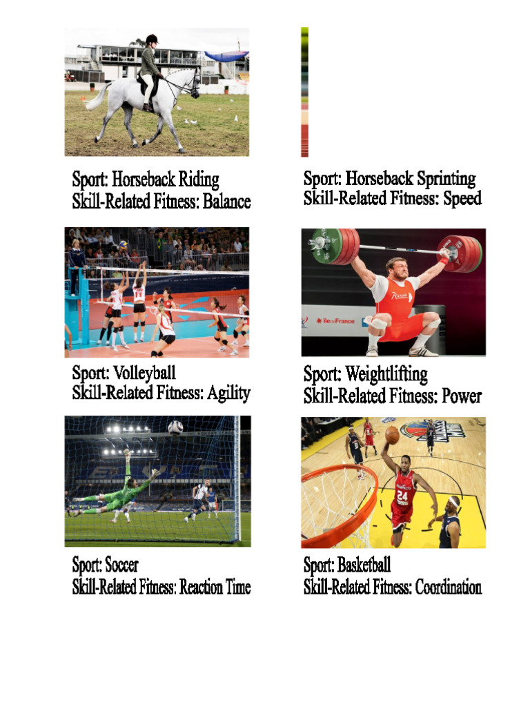 Skill Related Fitness | PDF