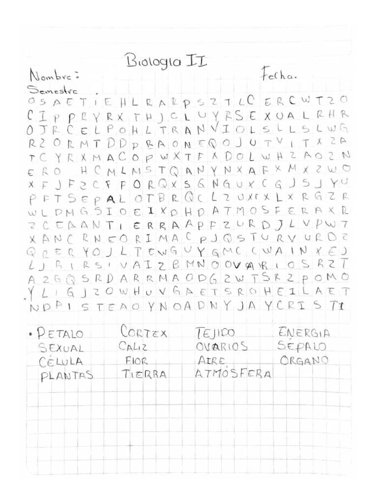 Biología II Sopa De Letras Todos | PDF