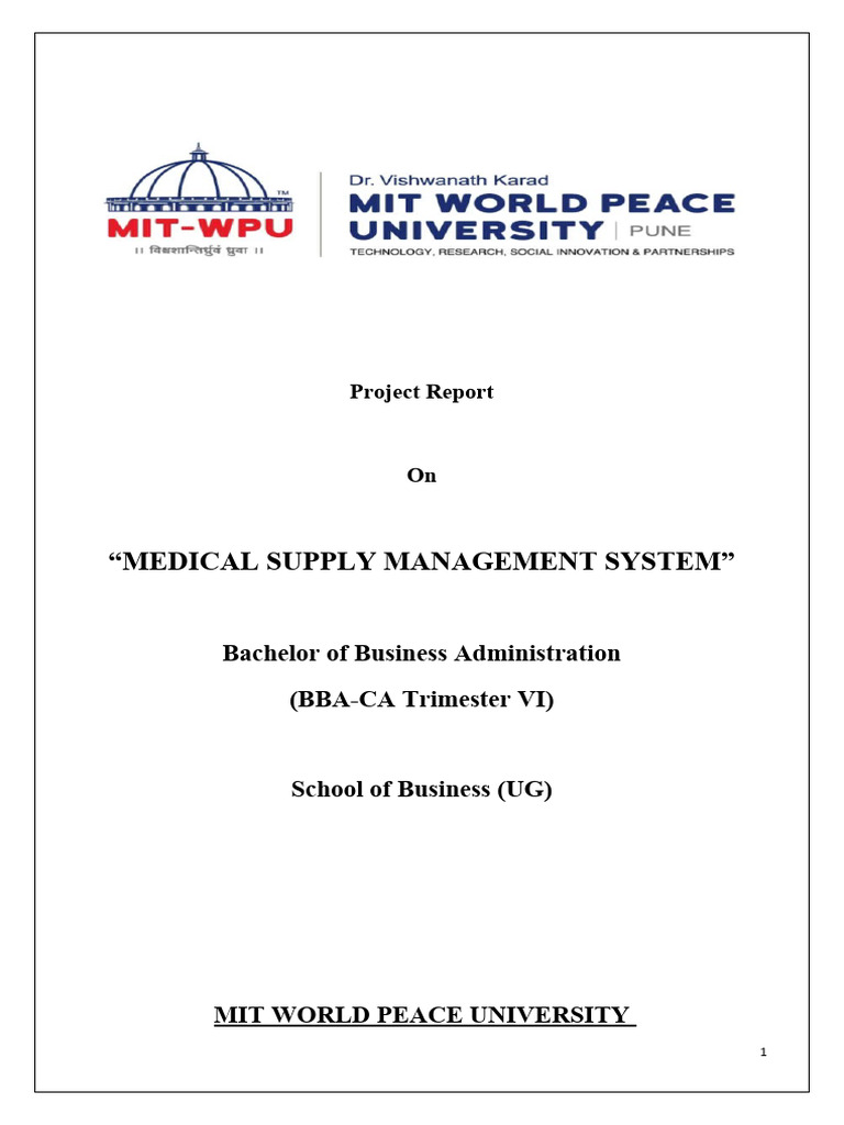 Msms Report | PDF | Usability | Databases