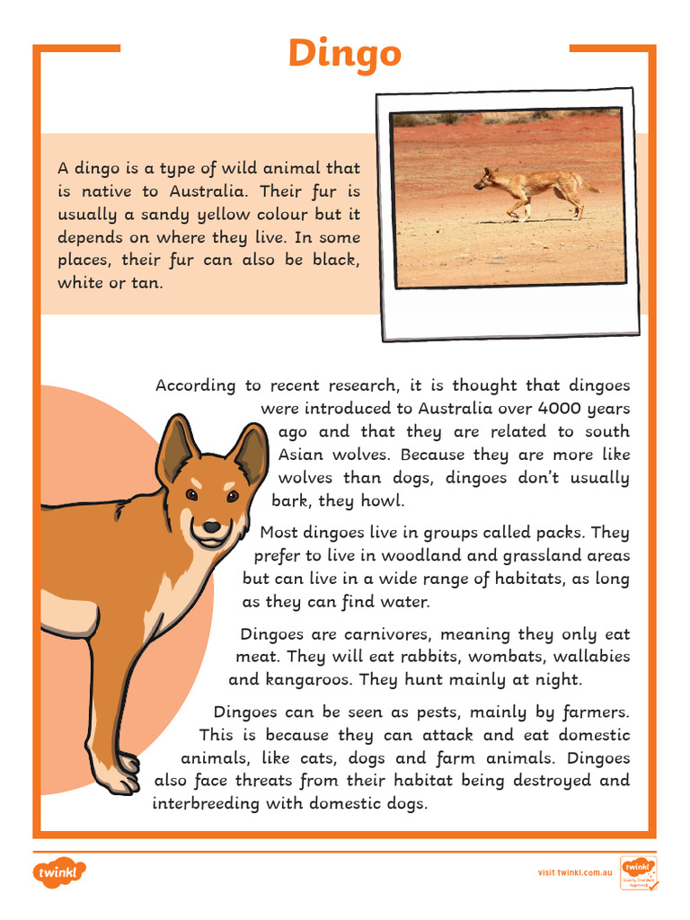 au-t-10000759-dingo-fact-file_ver_2 | PDF