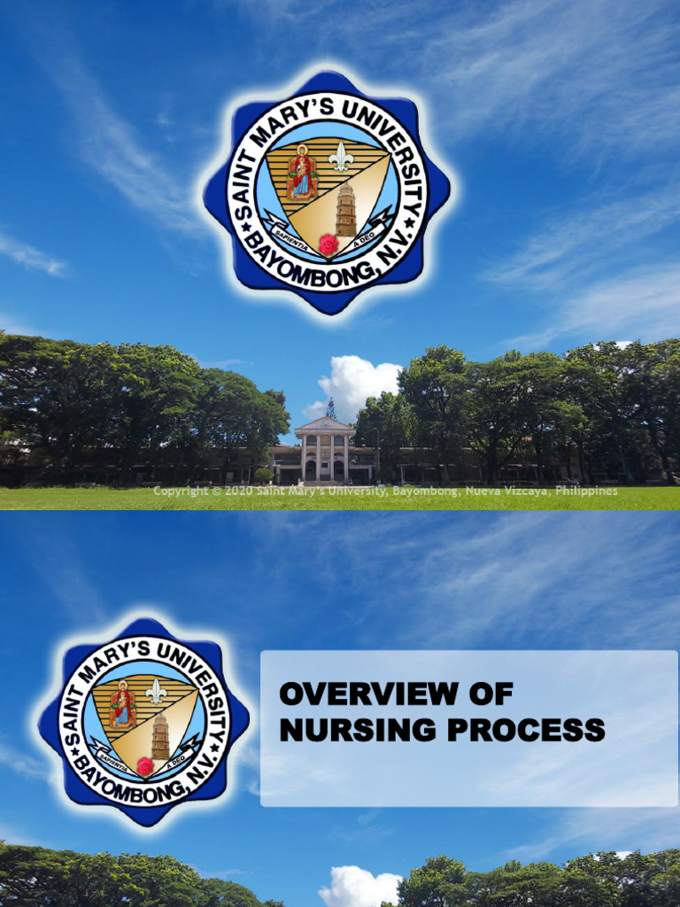 Nursing Process Overview and Phases | PDF | Medical Diagnosis | Nursing
