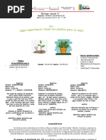 PROYECTO Las Plantas y La Primavera | PDF | Plantas