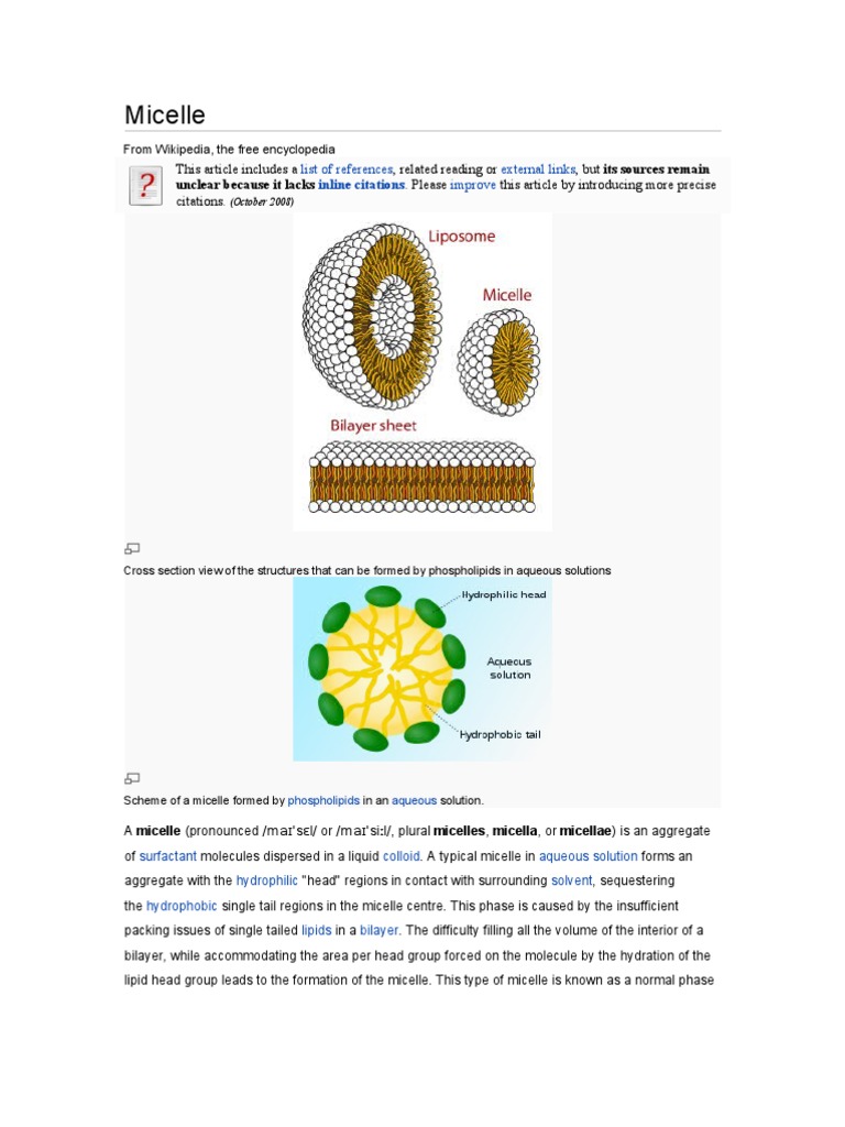 Micelle | PDF | Chemical Substances | Materials Science