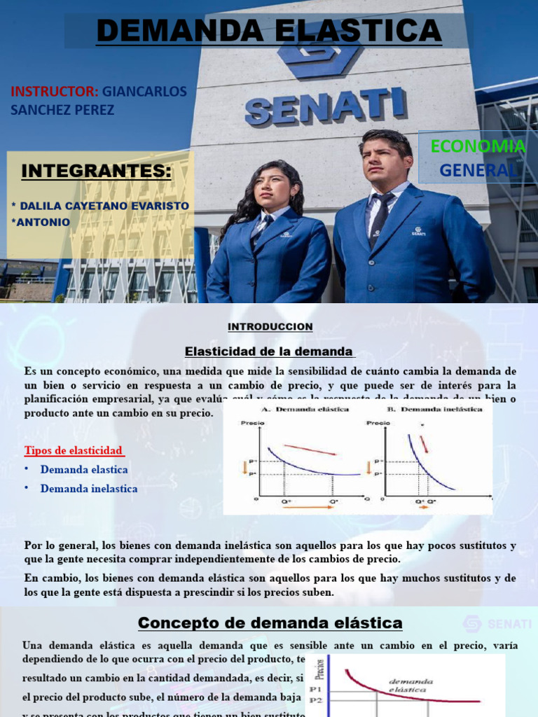 Demanda Elastica | Descargar gratis PDF | Elasticidad (economía ...