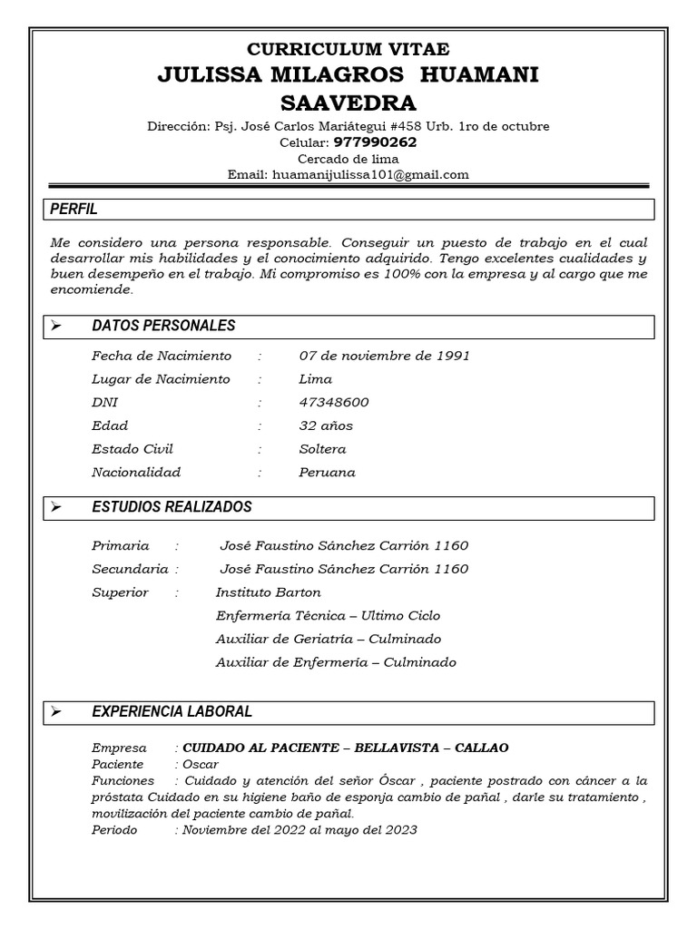 Julisa Huamani CV Completo | PDF | Documento de identidad | Gobierno