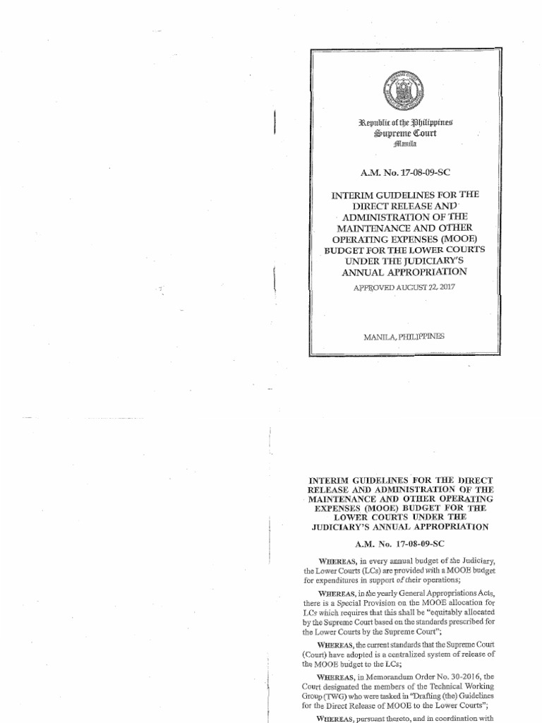 06 A.M. No. 17-08-09-SC MOOE Interim Guidelines Primer | PDF