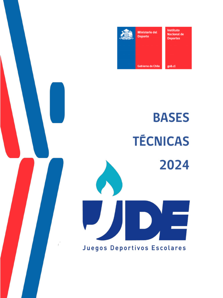 Bases Técnicas JDE - 2024 | PDF