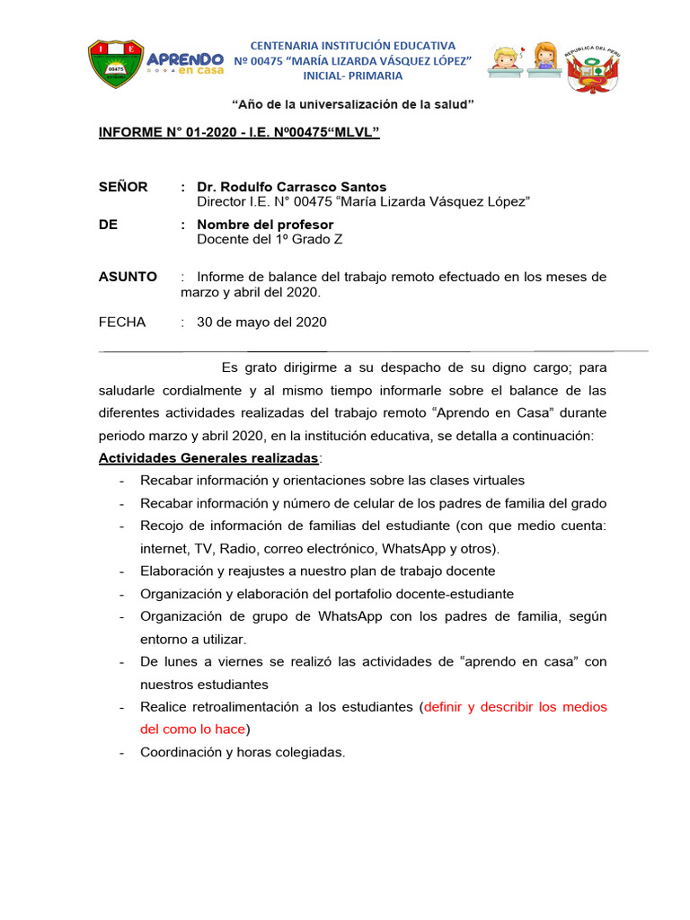 MODELO DE INFORME MENSUAL - 2020 | PDF