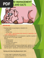 Pig Feeding Guidelines and Charts | PDF | Pig | Animals And Humans