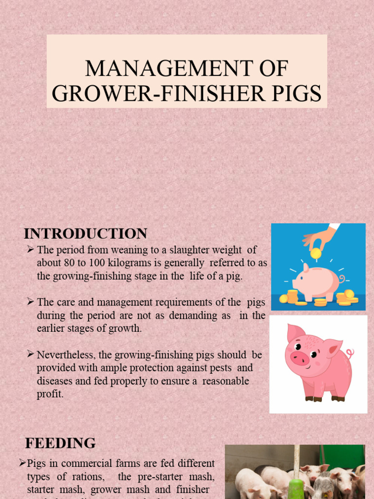 Grower-Finisher Pig Management Guide | PDF | Pig | Vaccines