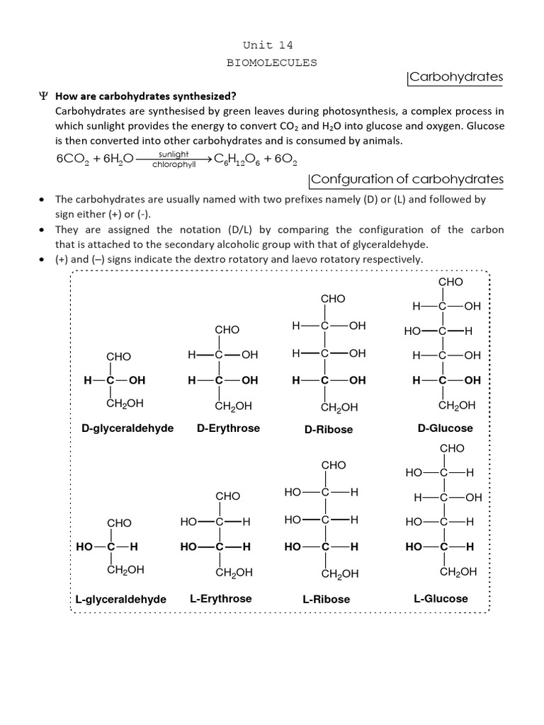 Unit-14 Biomolecules 2023 | PDF | Nucleotides | Lipid