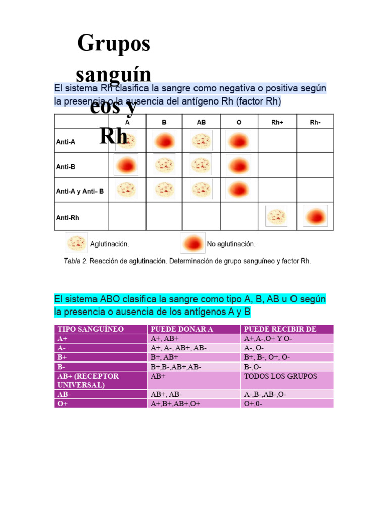 GRUPOS SANGUINEOS | PDF