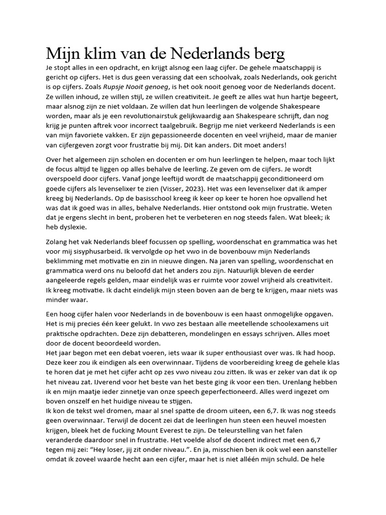 Nederlands Essay | PDF