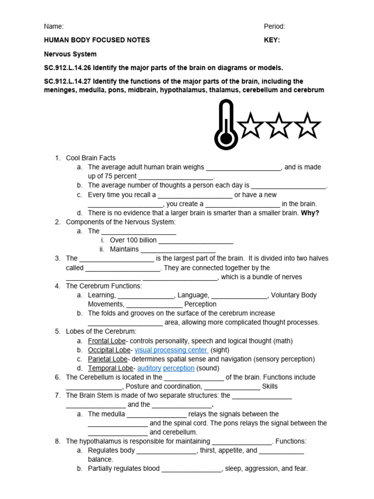 Human Body Focused Notes 2023 | PDF | Neuron | Action Potential