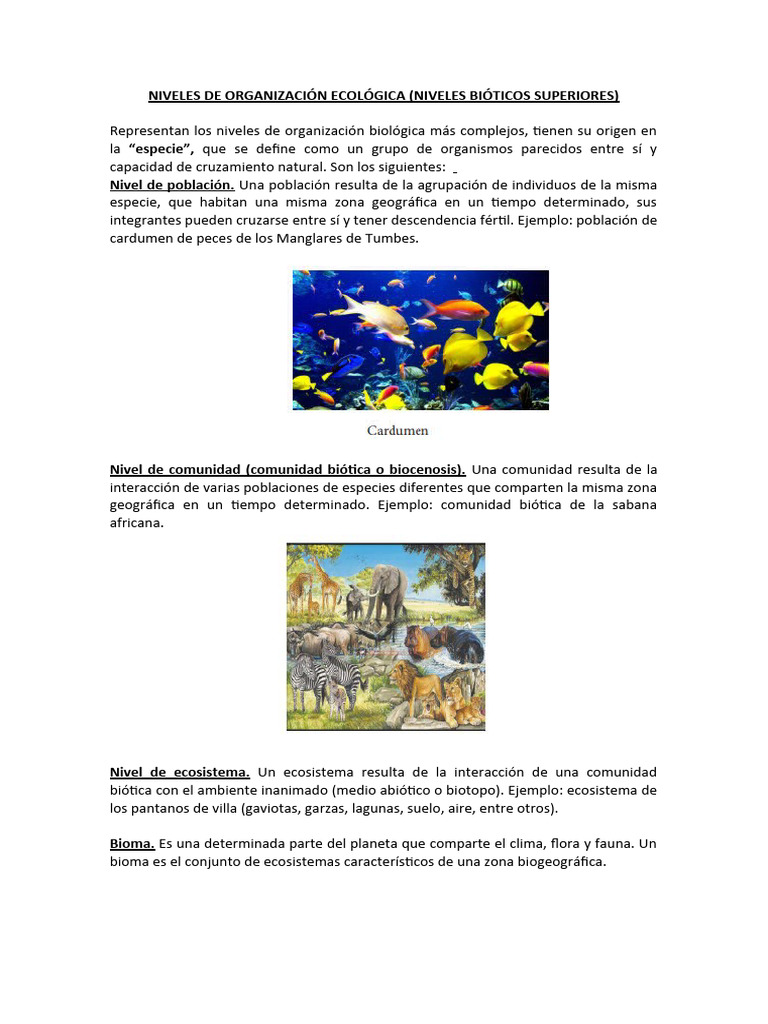 Niveles de Organizacion Ecologica | PDF Niveles de Organizacion Ecologica | PDF