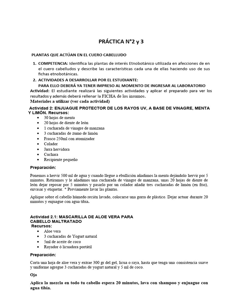 Práctica 2 - 3 | PDF | Limonada