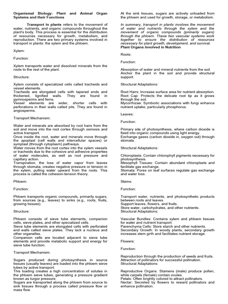 GENBIO 2.2 Plant and Animal Organ Systems and Their Functions | PDF ...