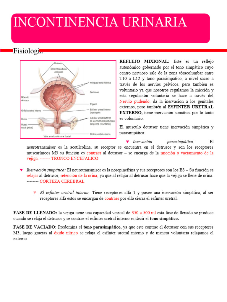 Incontinencia Urinaria | PDF | Micción | Urología