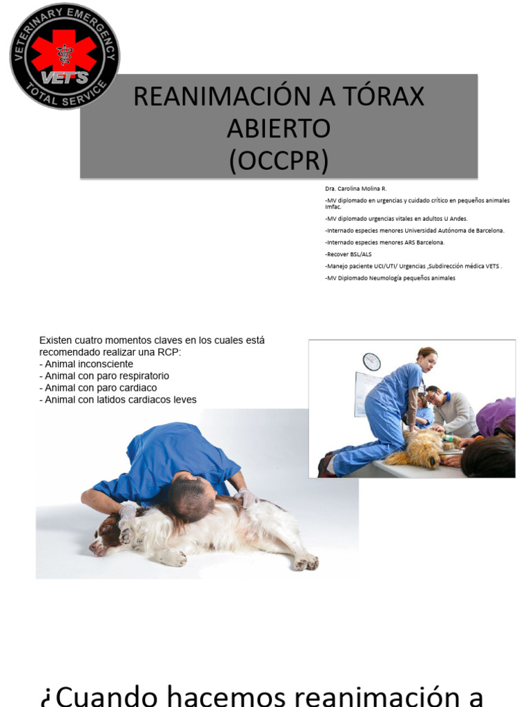 Reanimación A Torax Abierto Perros | PDF | Reanimación cardiopulmonar ...