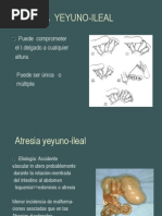 Tratamiento y grados de EPI | PDF