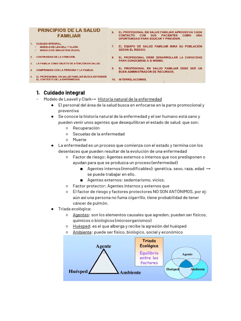 3 - Principios Safa | PDF | Cáncer | Asistencia sanitaria preventiva