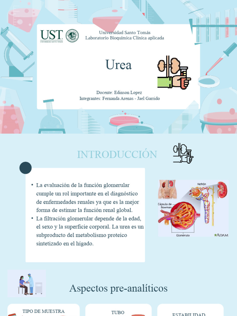 Urea Lab. Bioquímica (2) | PDF | Proteínas | Orina