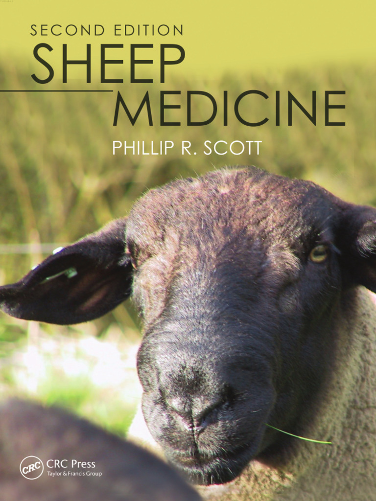 Sheep Medicine | PDF | Animal Welfare | Sheep