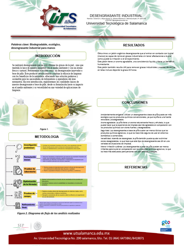 Cartel Con Formato Correcto | PDF | Jabón