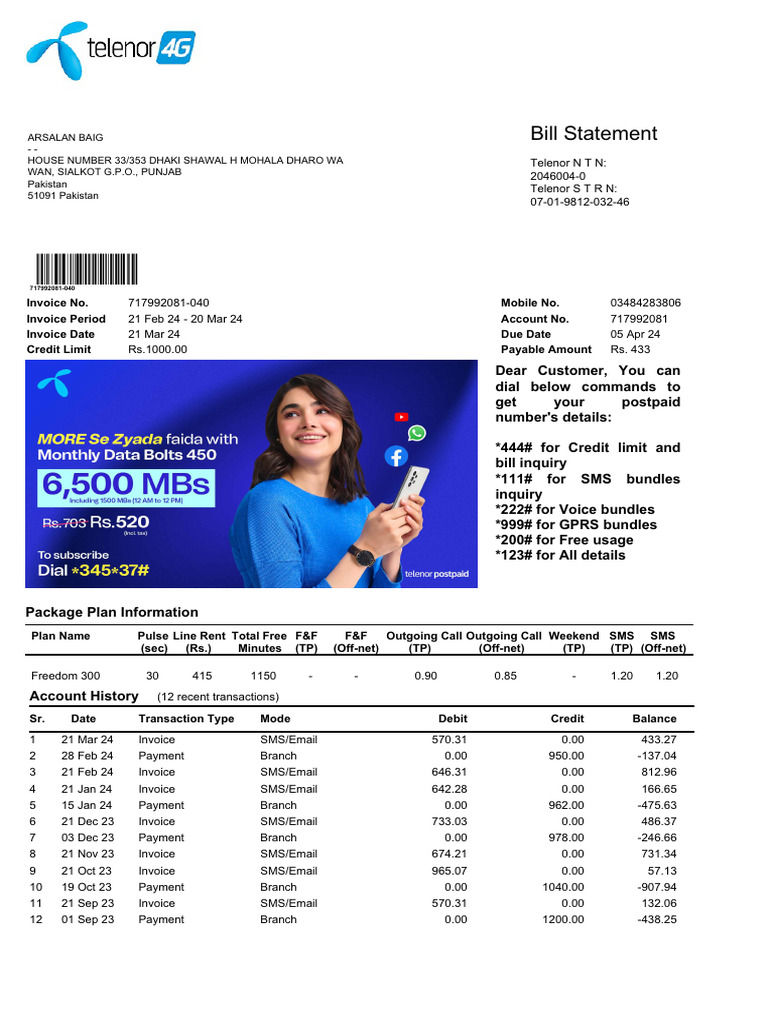 Bill Statement | PDF | Internet | Telecommunications