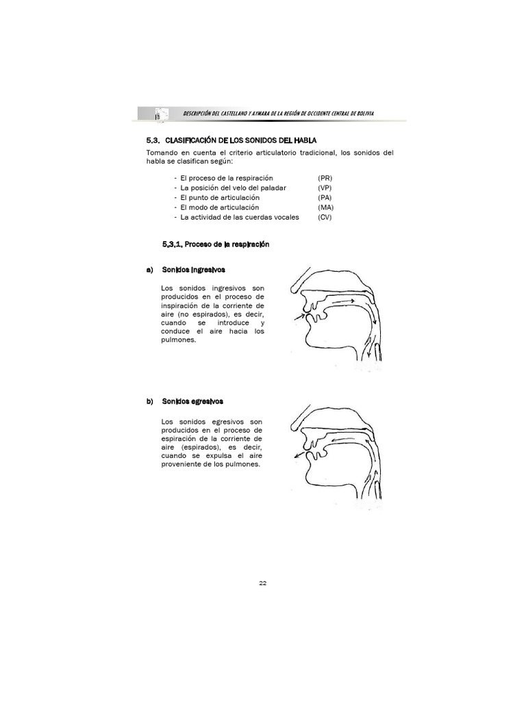 Clasificación de Sonidos Glotales y Uvulares | PDF | Fonética | Voz humana