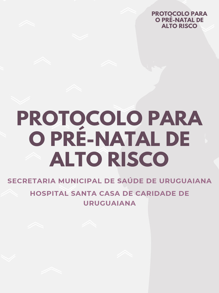 Protocolo para o Pre Natal de Alto Risco | PDF | Gravidez | Especialidades médicas