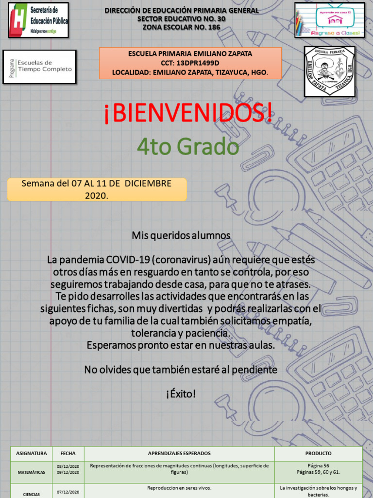 Plan de Estudio Primaria 4to Grado | PDF | México | Hongo