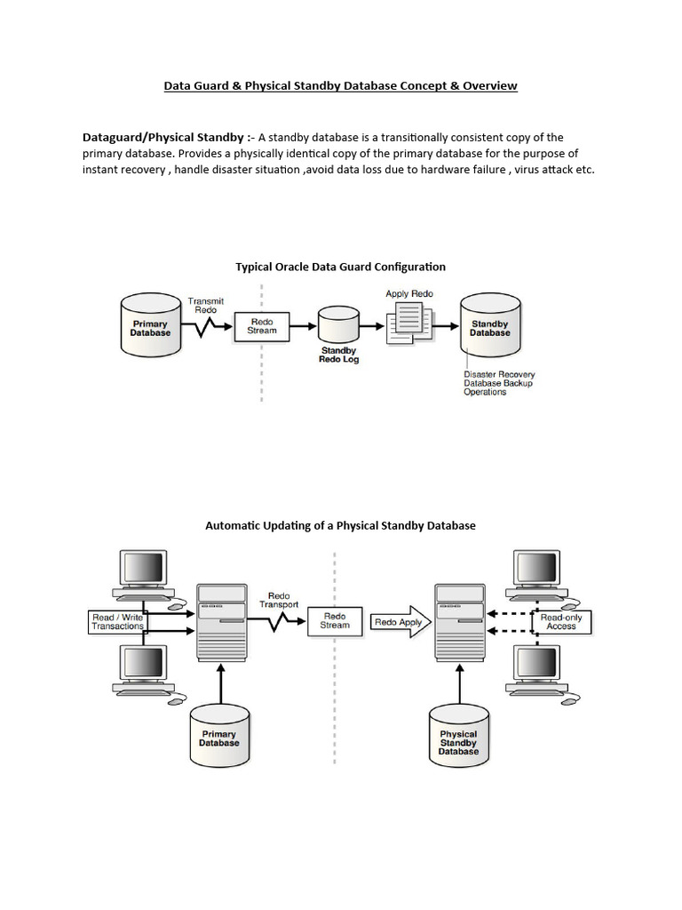 Data Guard | PDF | Databases | Computer Architecture