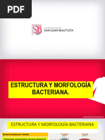 Mapa Conceptual de Bacterias | PDF | Las bacterias | Citoplasma