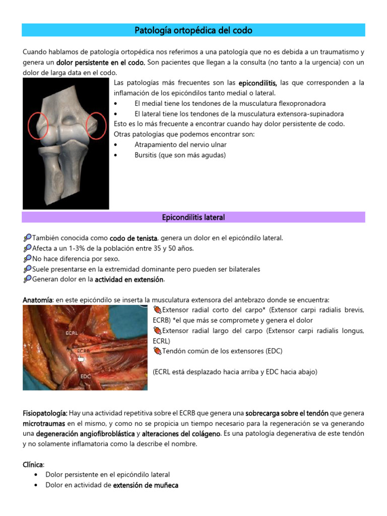 Codo Ortopedico Pdf Enfermedades Y Trastornos Especialidades Medicas
