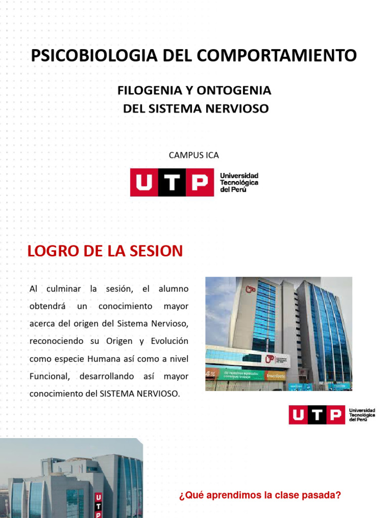 Psicobiología del Comportamiento: Sistema Nervioso | PDF | Neurona | Sistema nervioso