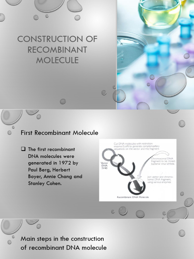 Recombinant DNA Construction Guide | PDF | Science & Mathematics